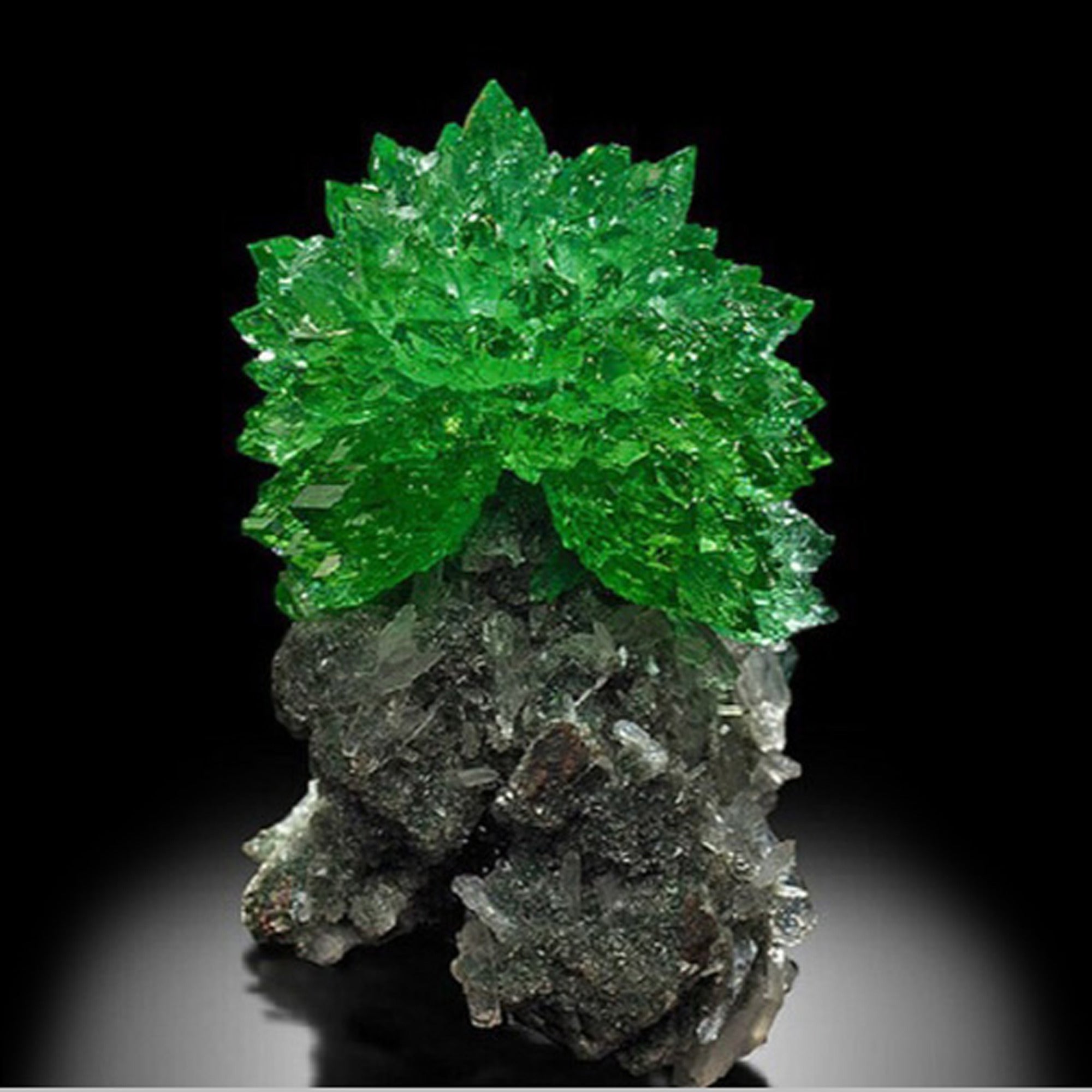 Natural Crystals & Minerals – gargoti